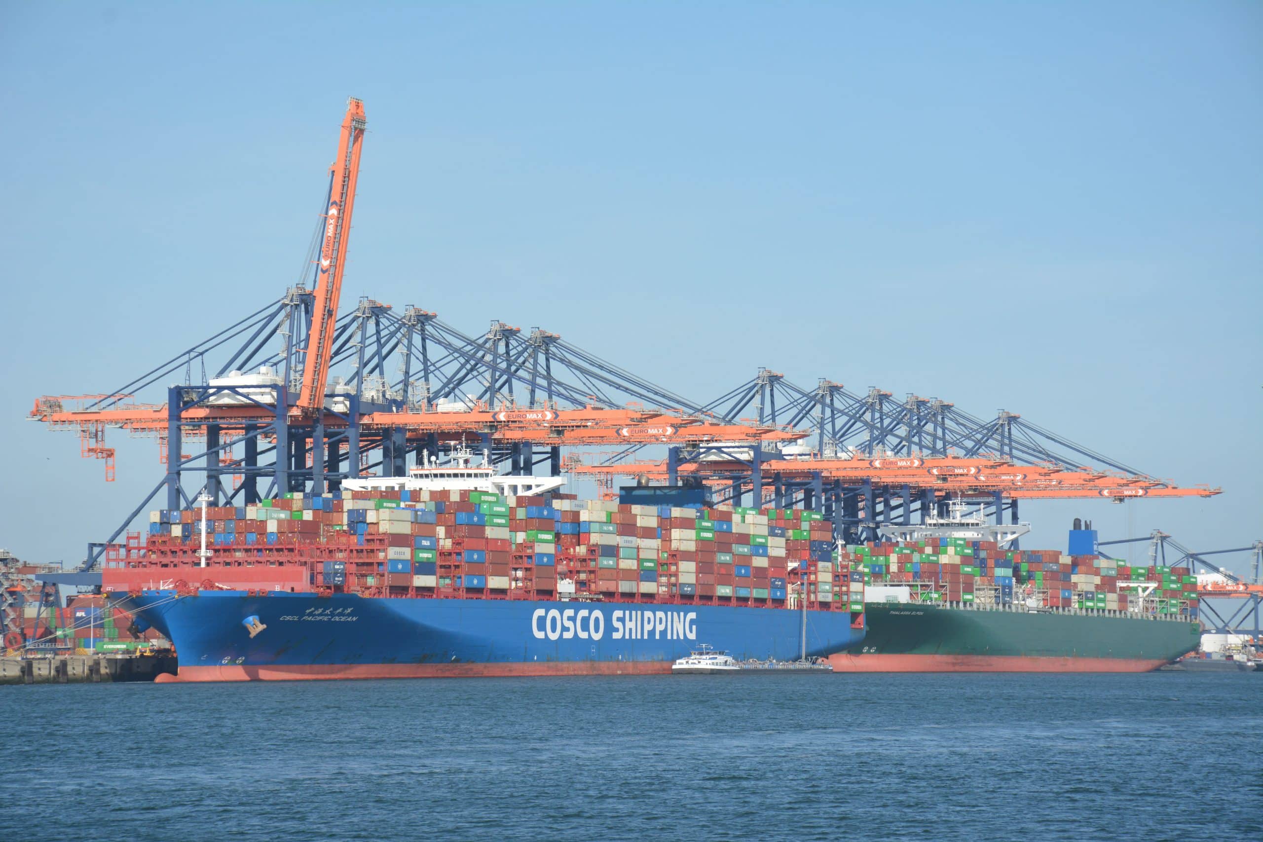 MSC lijft terminals van CK Hutchison in – inclusief ECT - Binnenvaartkrant